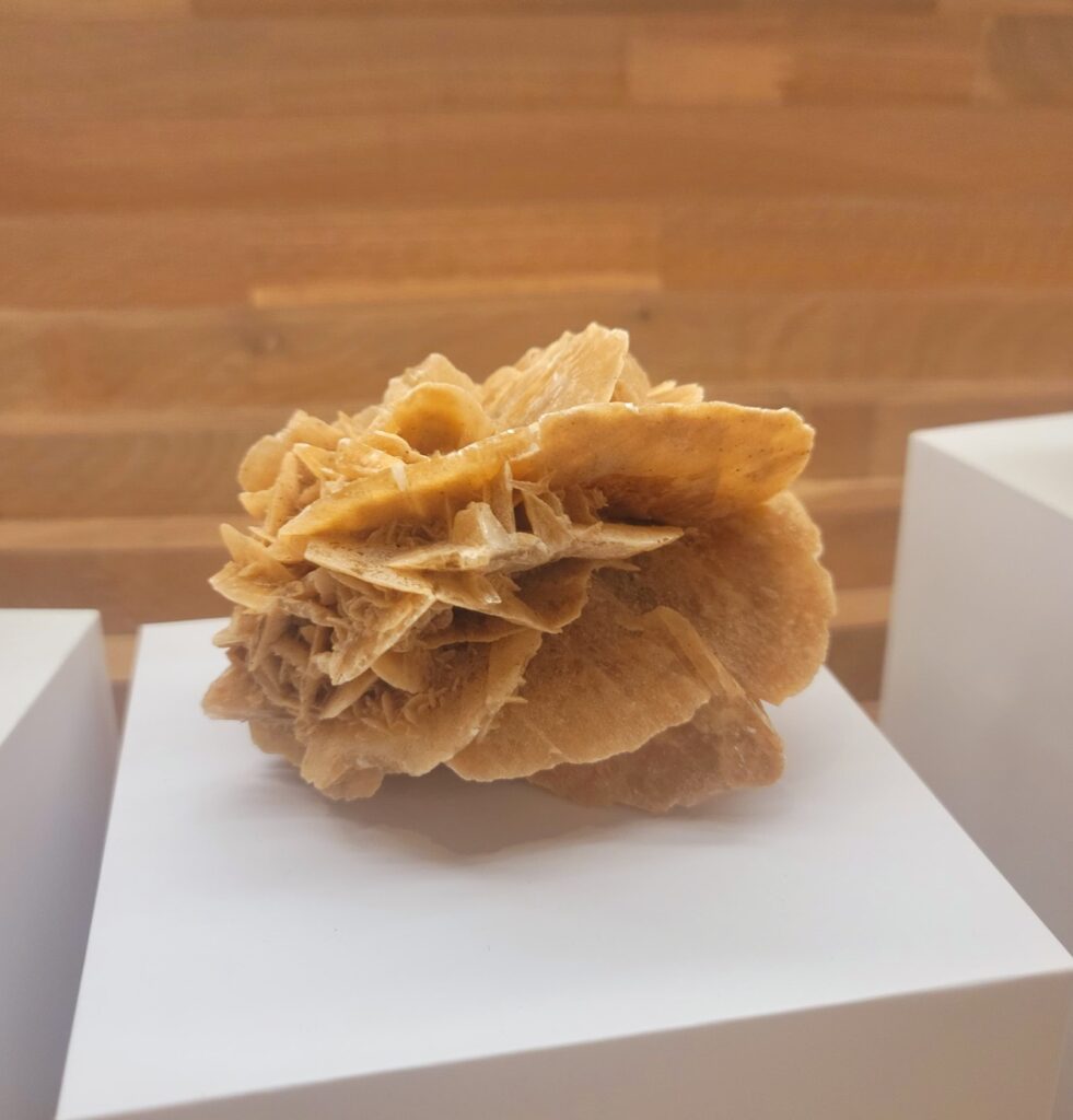 Qatar’s Desert Rose – RASEKH