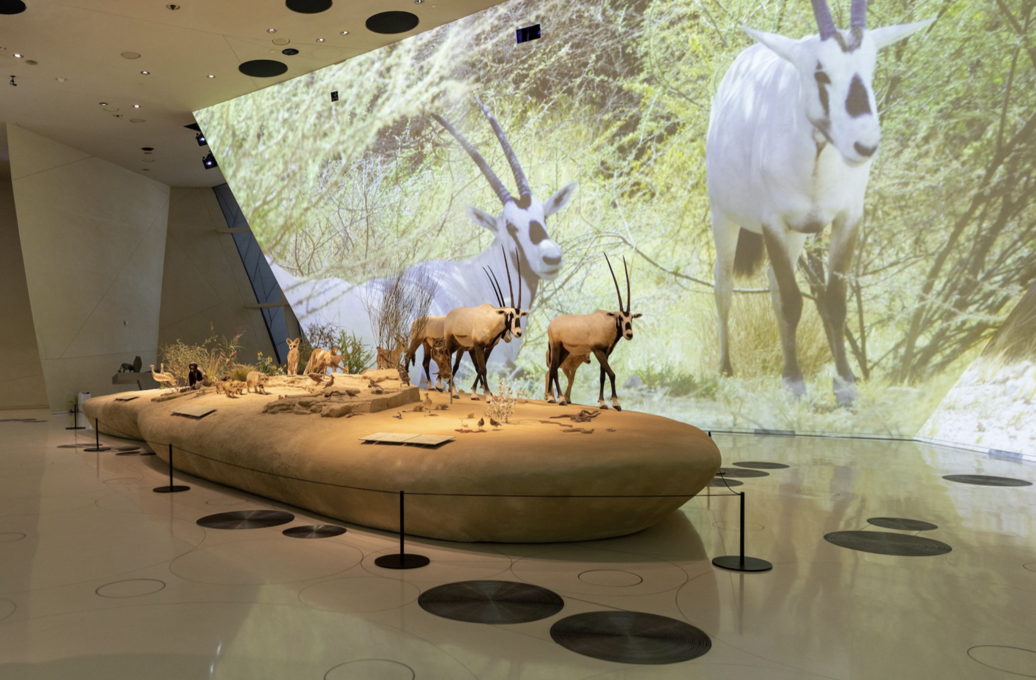 Flora and Fauna / ecosystem – RASEKH